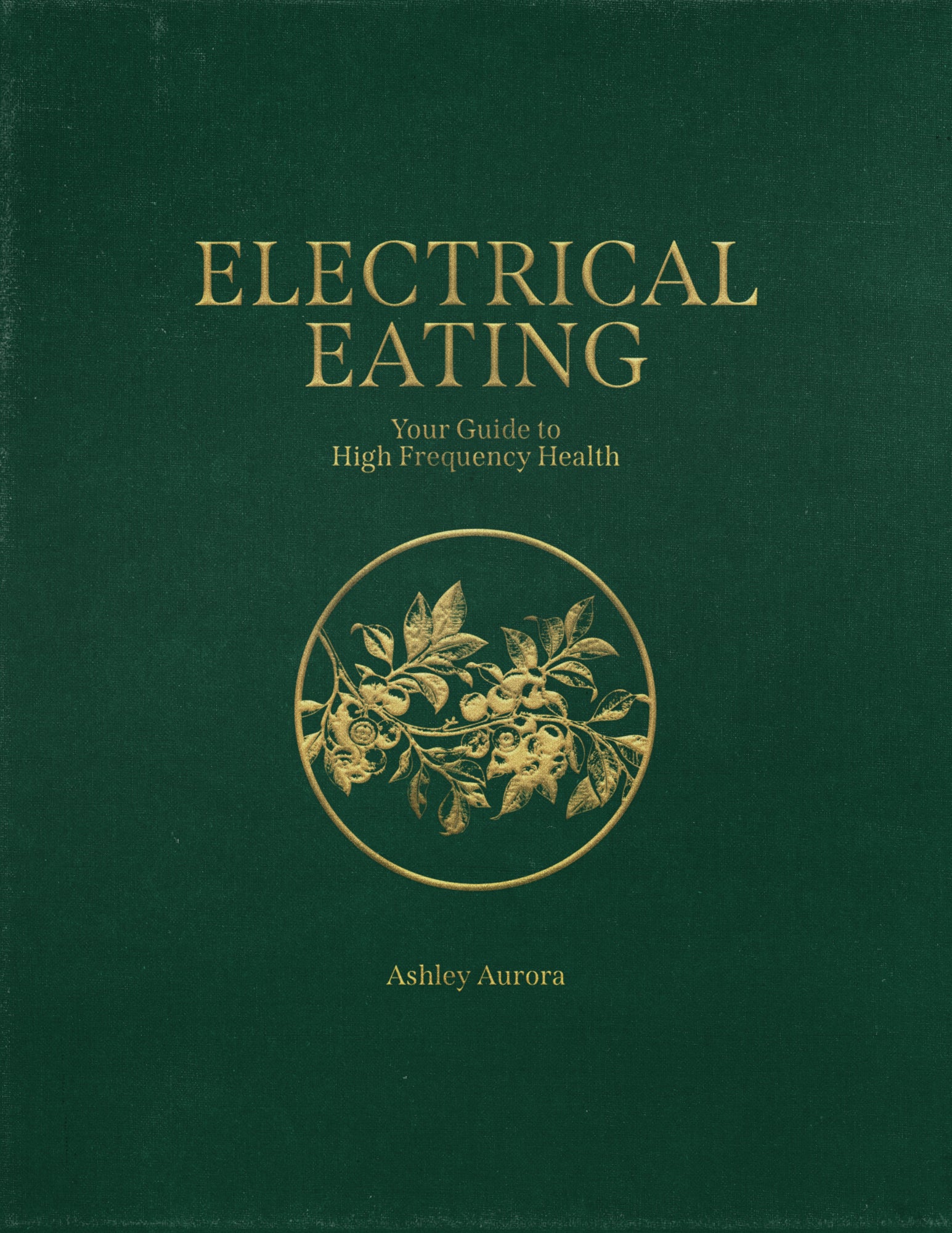 Electrical Eating Guide | High Frequency Holistic Nutrition — Earth & Ash
